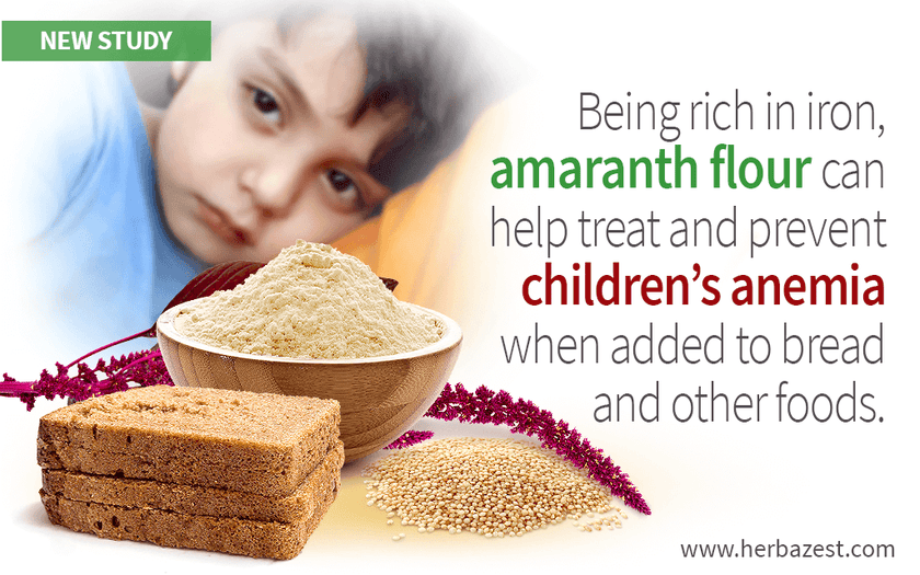 Amaranth Flour Bread Helps Reduce Anemia Prevalence in Children – HerbaZest