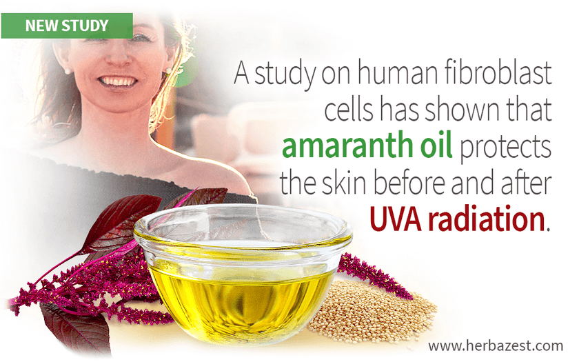 Amaranth Oil Shows Protective Effects on Skin from UV Radiation – HerbaZest