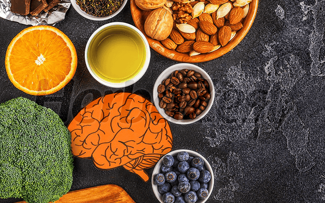 Food for Thought: How to Feed Your Brain – HerbaZest