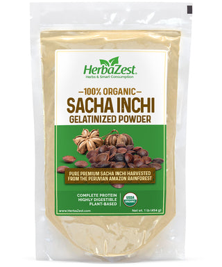 Sacha Inchi Powder - Organic & Protein-Rich - HerbaZest
